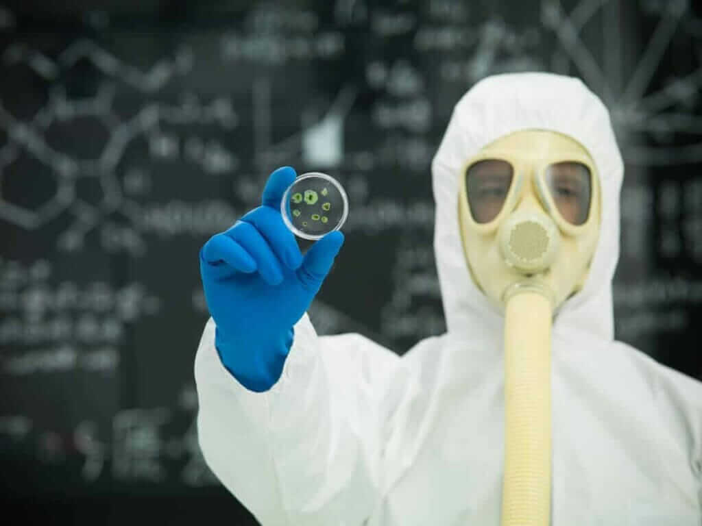 10 Natural Mold Killers & Ways To Kill Mold | Sprouting Fam