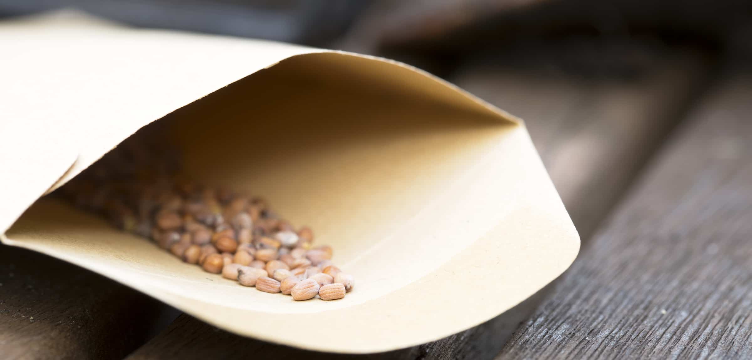 5 Seed Storage Tips: Short, Long Term Methods - Sprouting Fam