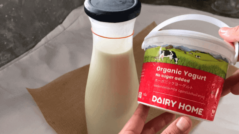 How To Make Yogurt From Raw Milk Recipe - Sprouting Fam