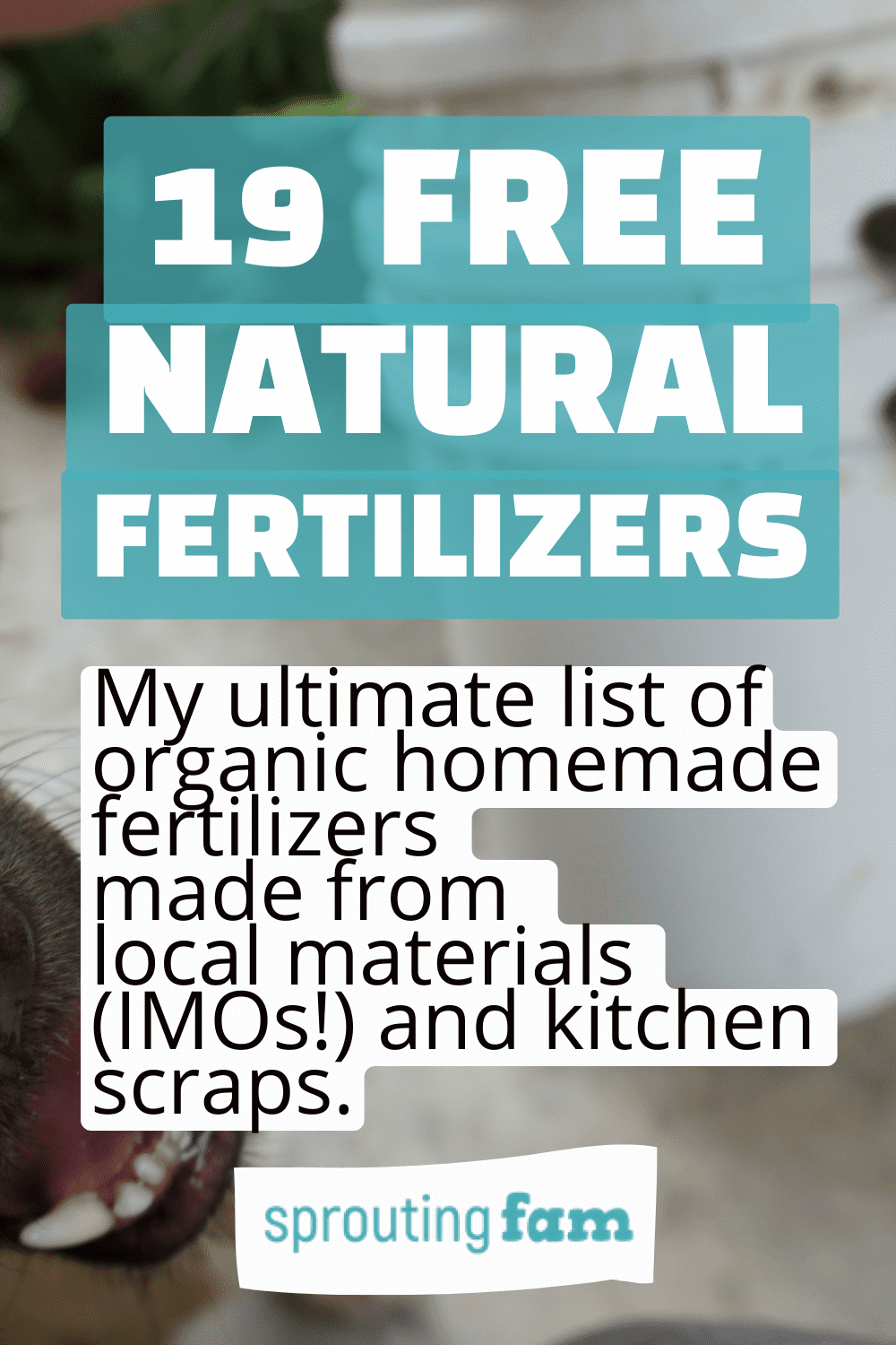 19 Free Fertilizers You Can Make At Home - Sprouting Fam