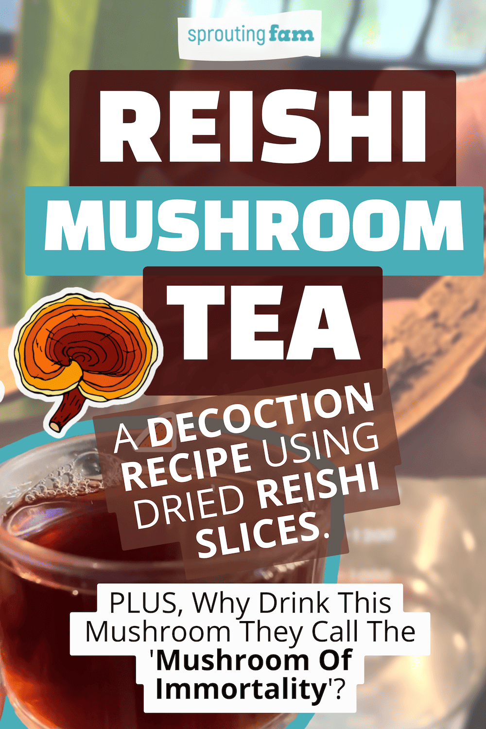 Reishi Mushroom Tea Recipe, Ganoderma Lingzhi Decoction - Sprouting Fam