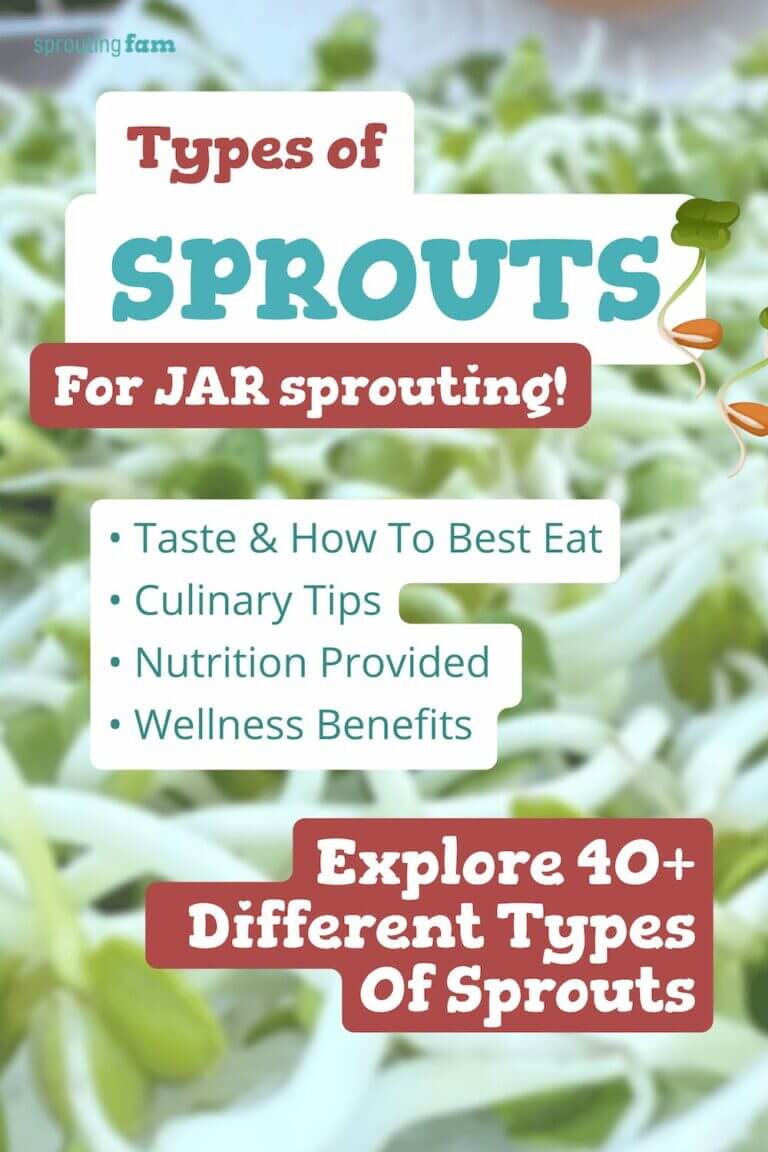 36 Types Of Sprouts To Jar Sprout At Home - Sprouting Fam