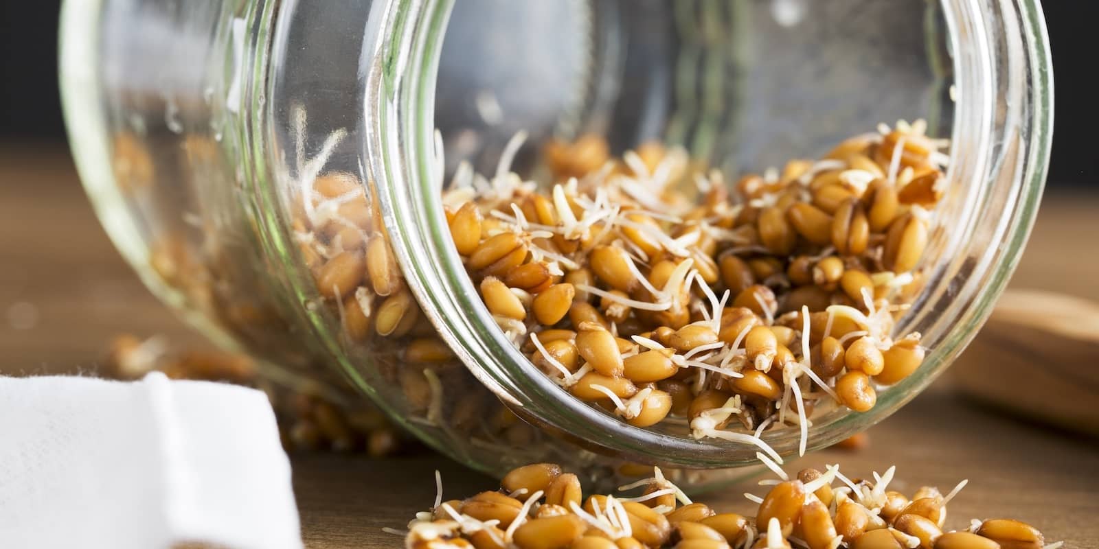 5 Seed Cleaning Methods For Home Sprouting - Sprouting Fam