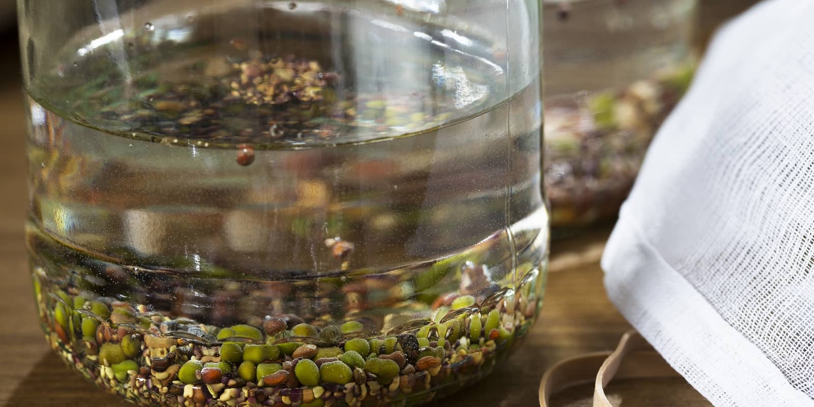 36 Types Of Sprouts To Jar Sprout At Home - Sprouting Fam